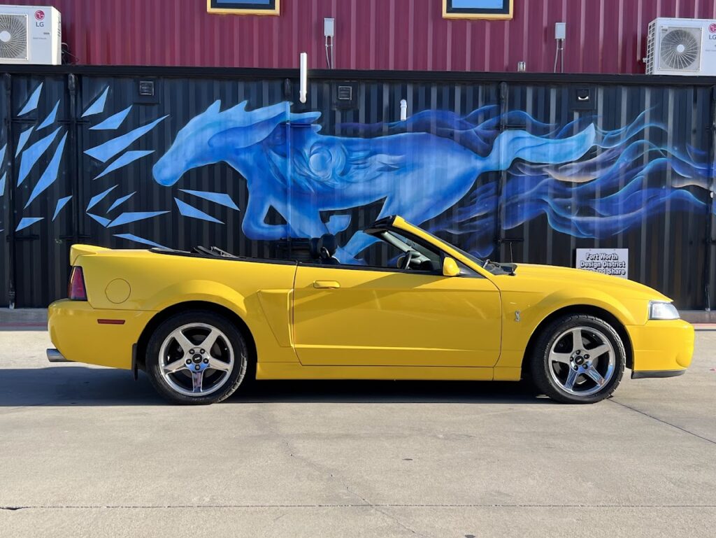 2004 SVT Cobra Terminator Convertible (Pac-Man) – Chasing Mustangs